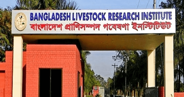Bangladesh Livestock Research Institute Job Circular 2023 - Chakrir Mela